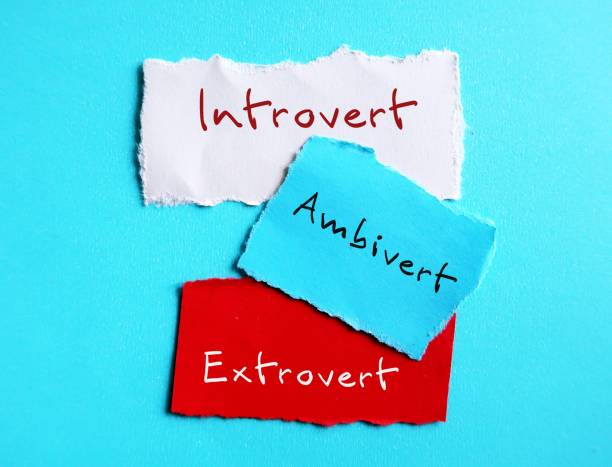 Introvert Area - Introvert Area